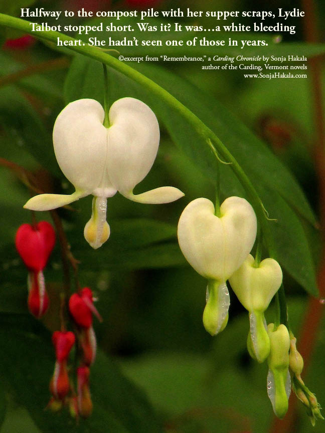 White Hearts | Sonja Hakala