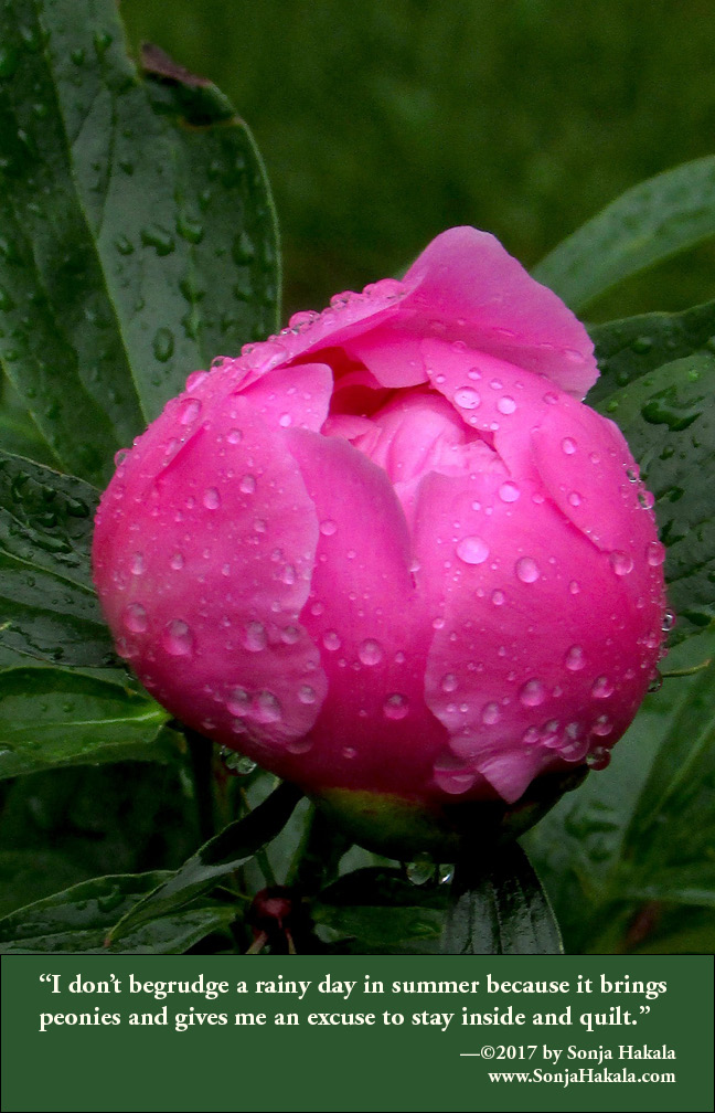 Peony Season | Sonja Hakala