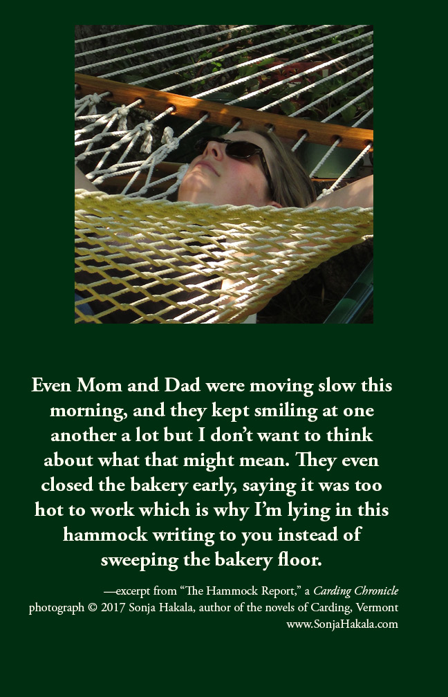 The Hammock Report | Sonja Hakala