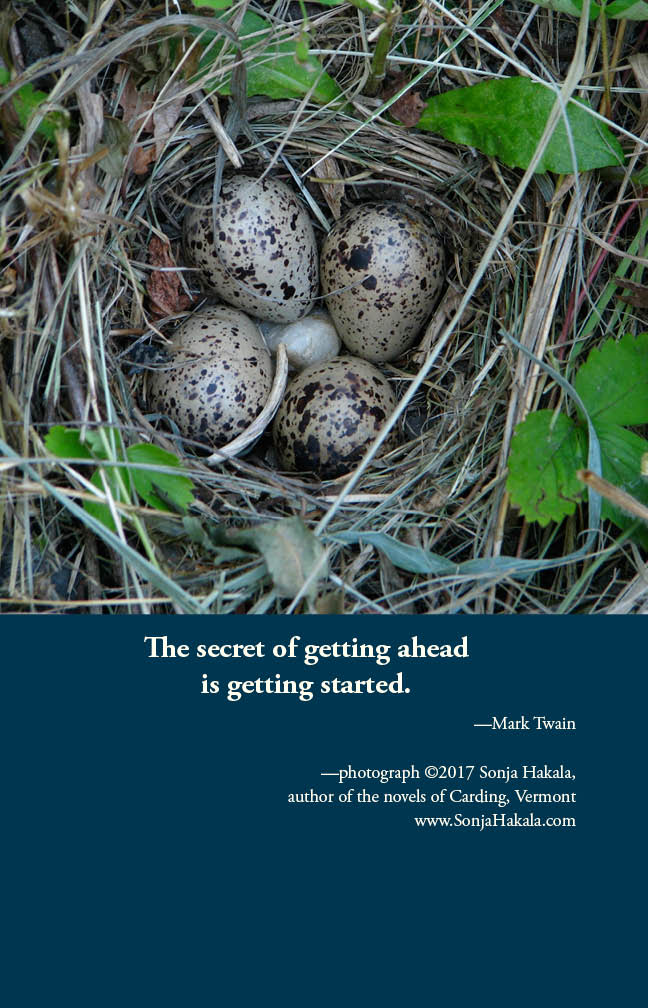 Getting Started | Sonja Hakala