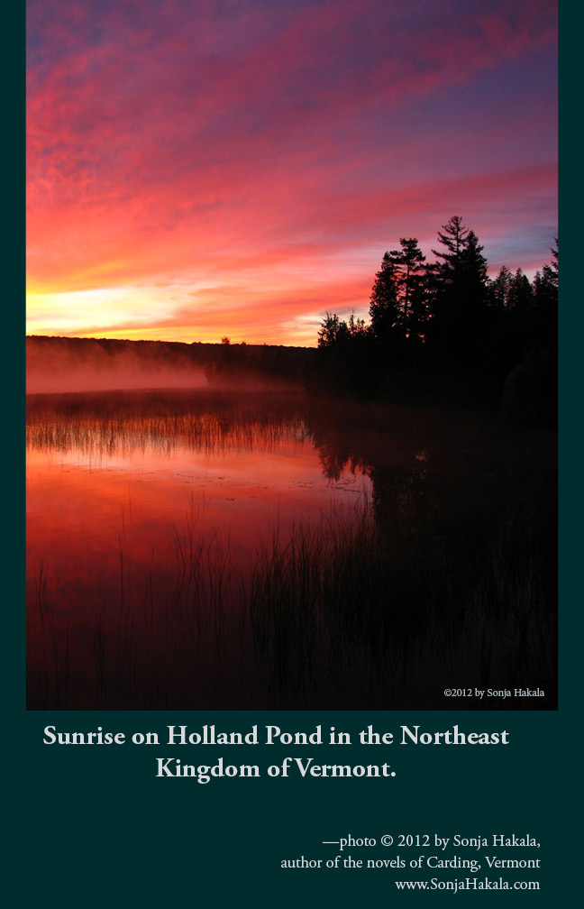 Holland Pond | Sonja Hakala