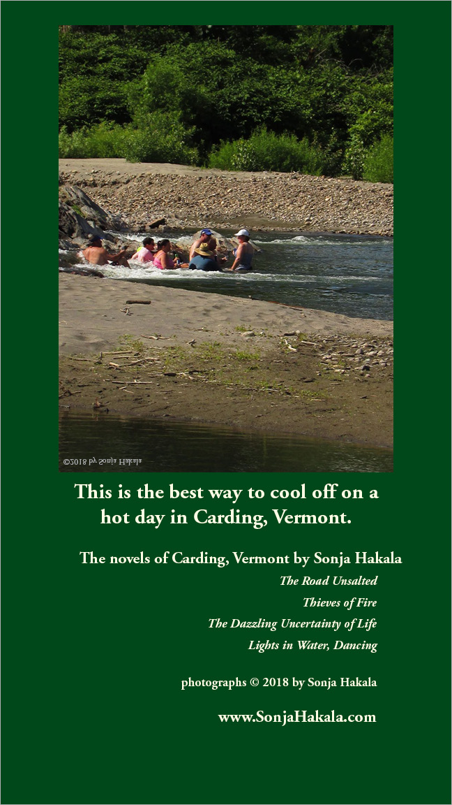 Cooling Off on a Hot Day | Sonja Hakala