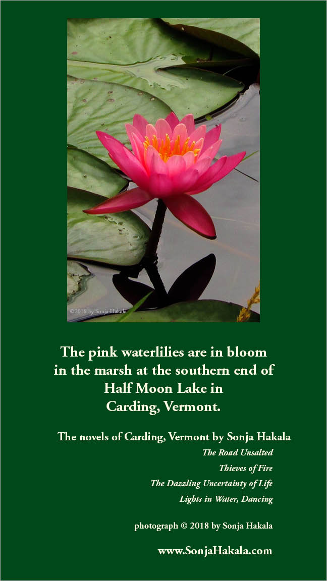 Water Dance | Sonja Hakala