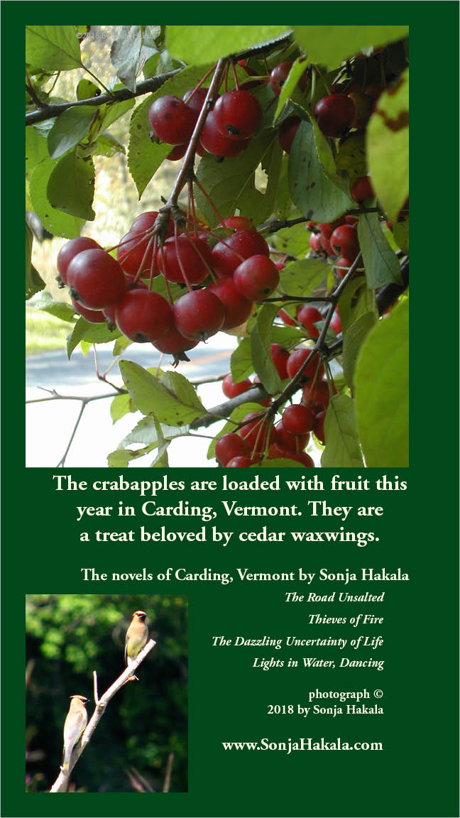 Crabapples | Sonja Hakala