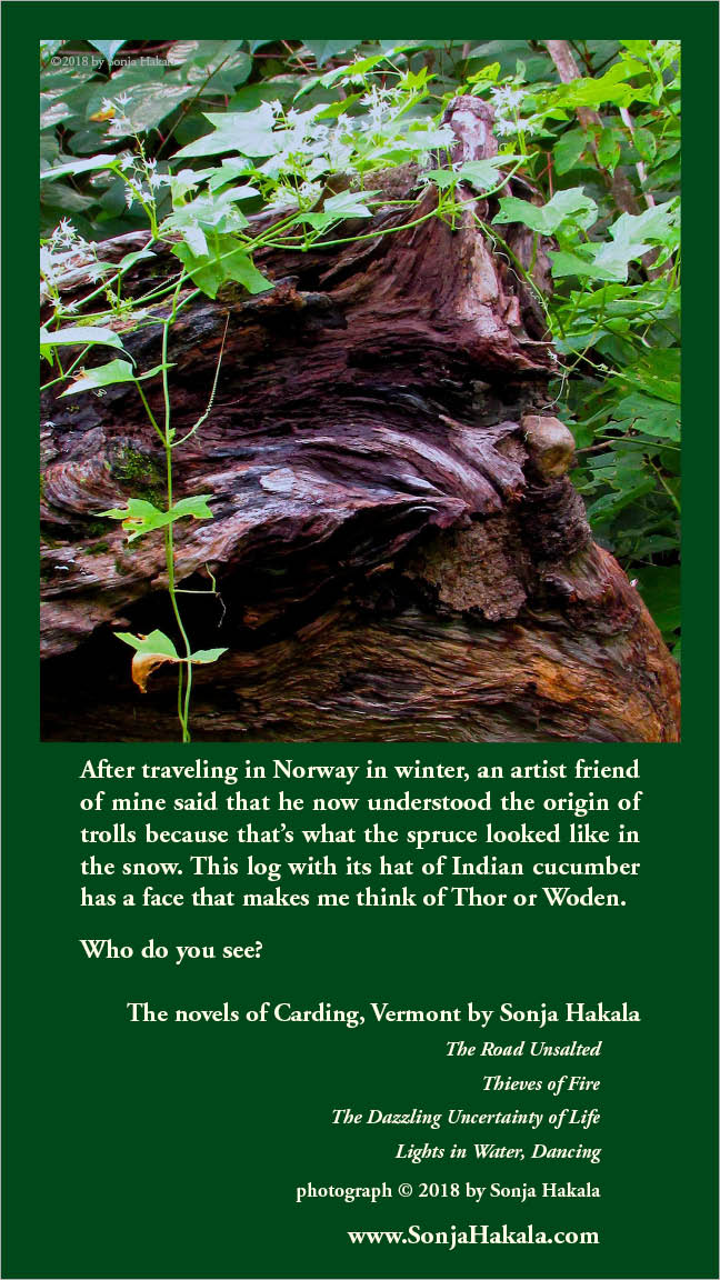 Thunder Gods in the Forest | Sonja Hakala