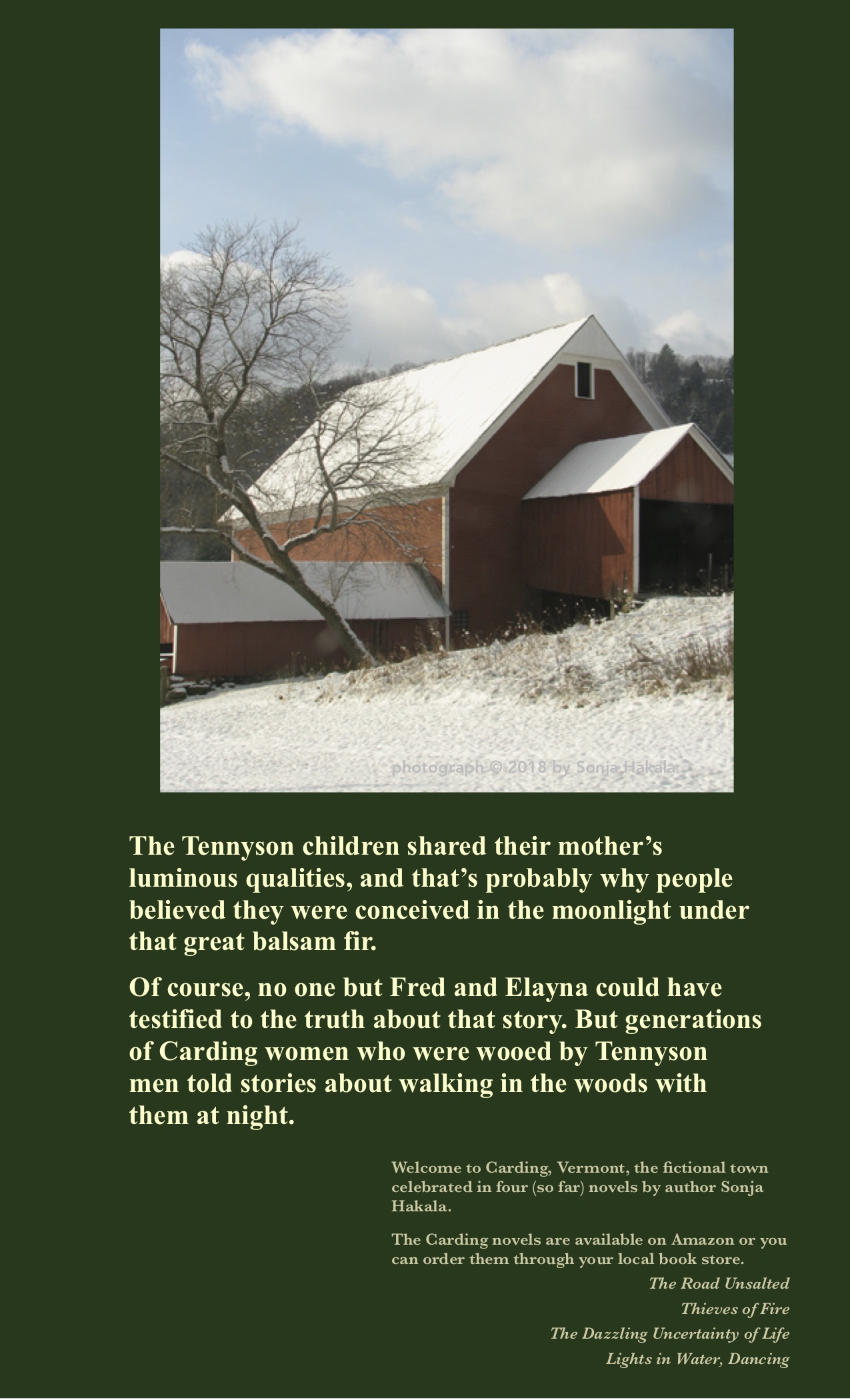 The Tennyson Free-Range Christmas Tree Farm | Sonja Hakala