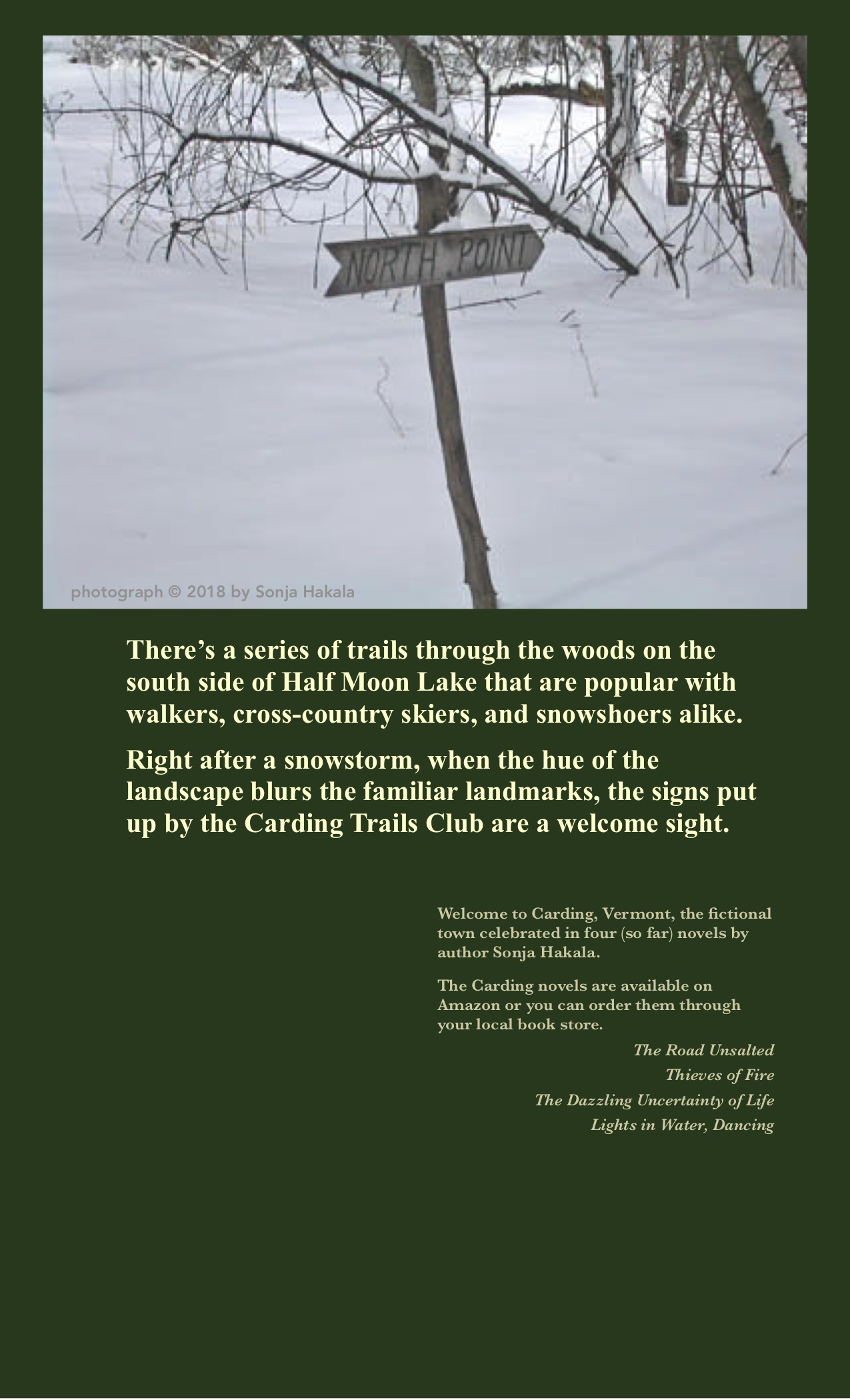 This Is the Way Home | Sonja Hakala