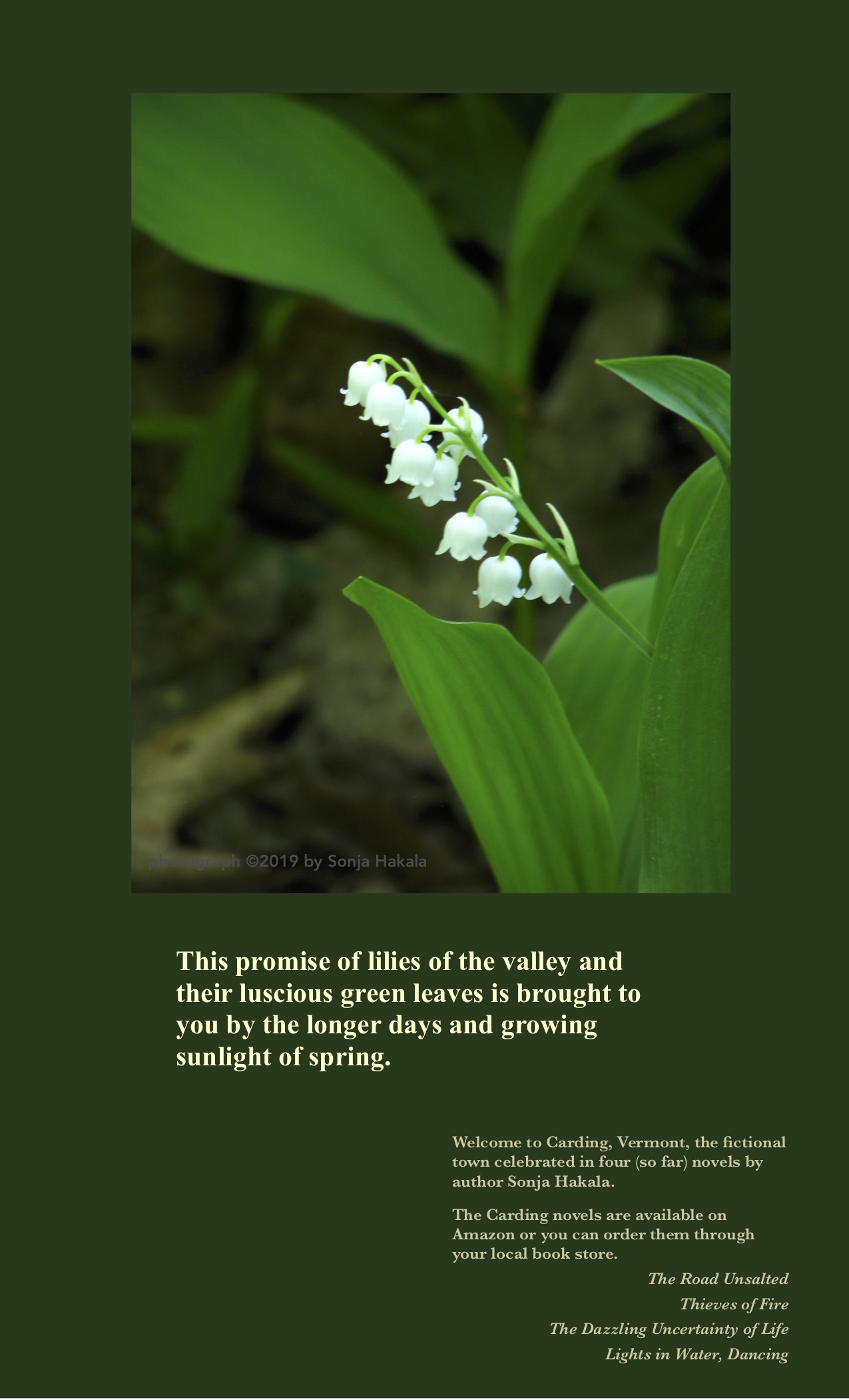 Promises | Sonja Hakala