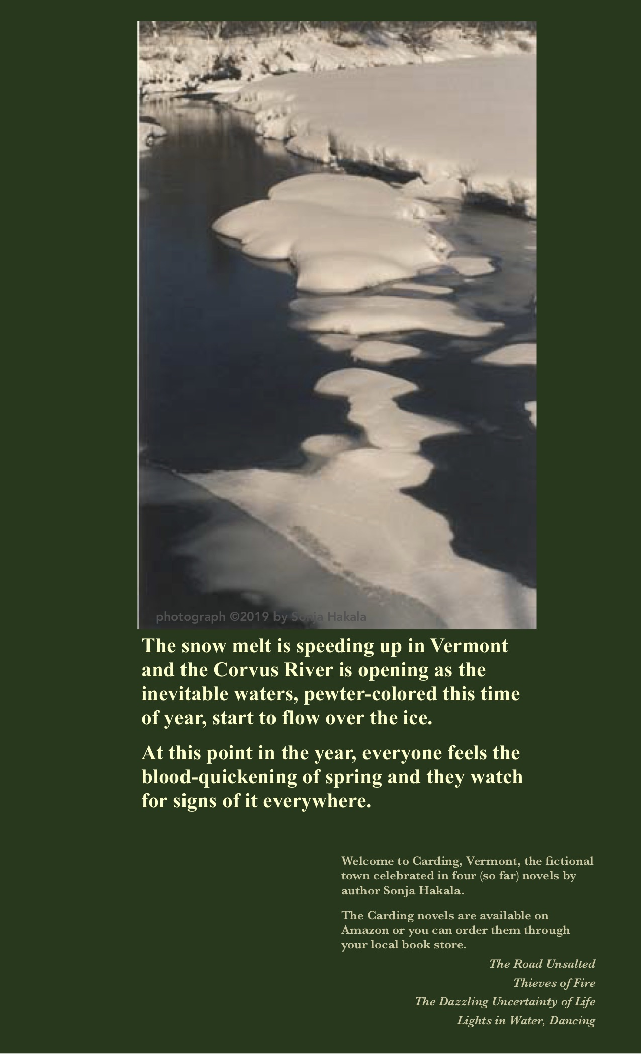 Just Watching the Corvus River Flow | Sonja Hakala