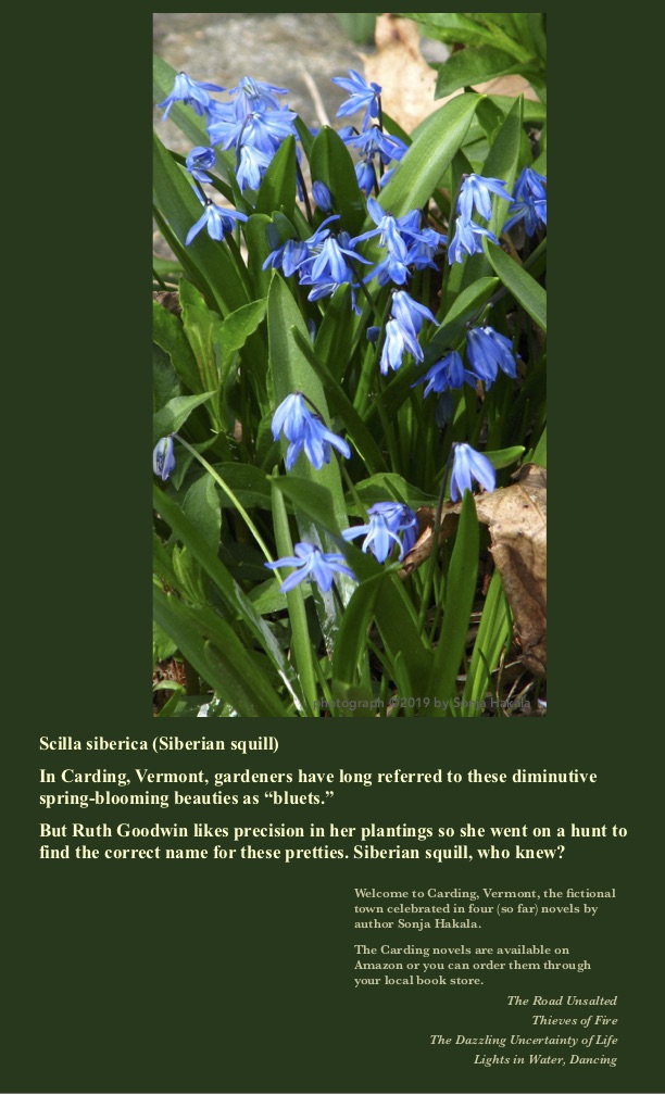 Flowers That Bloom in Spring | Sonja Hakala