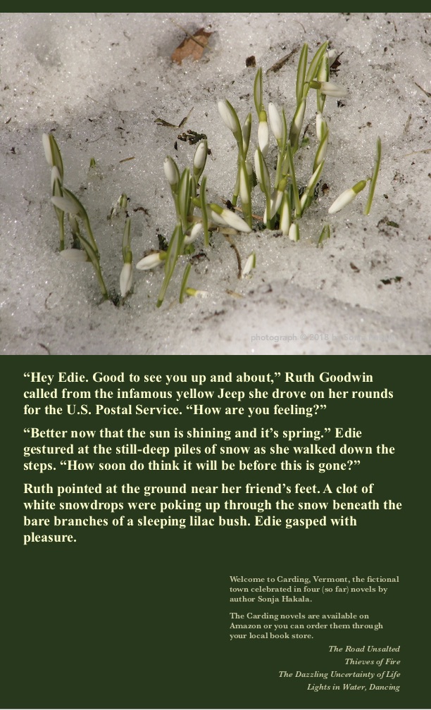 Spring Cleaning: A Carding Chronicle | Sonja Hakala