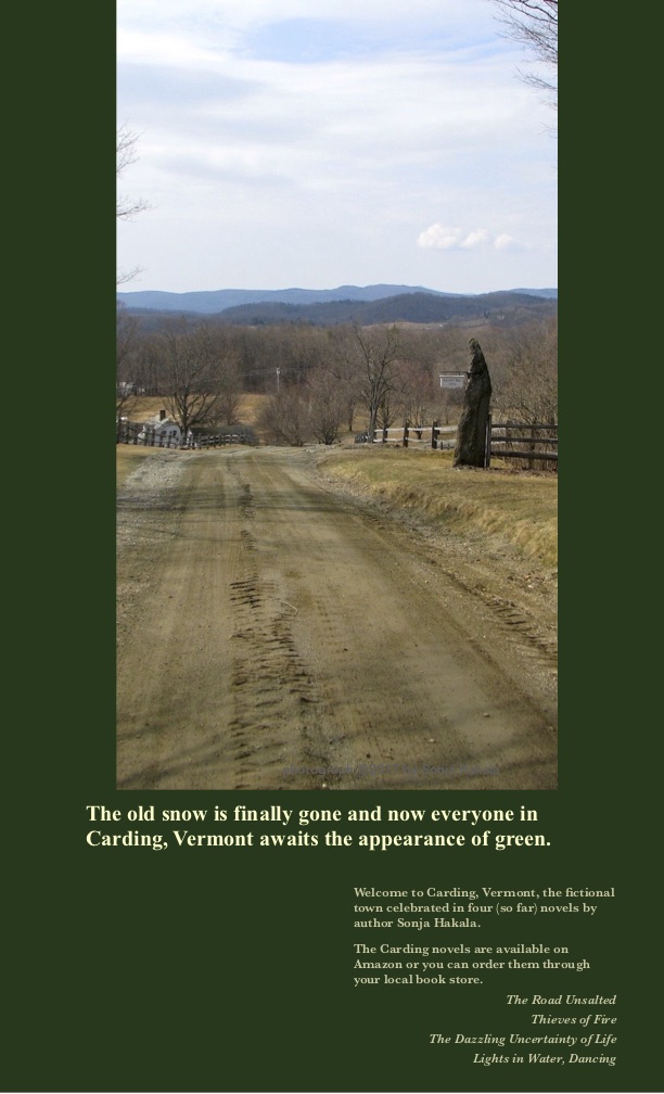 No Snow—Finally!! | Sonja Hakala