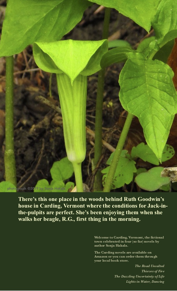 Knowing Jack | Sonja Hakala