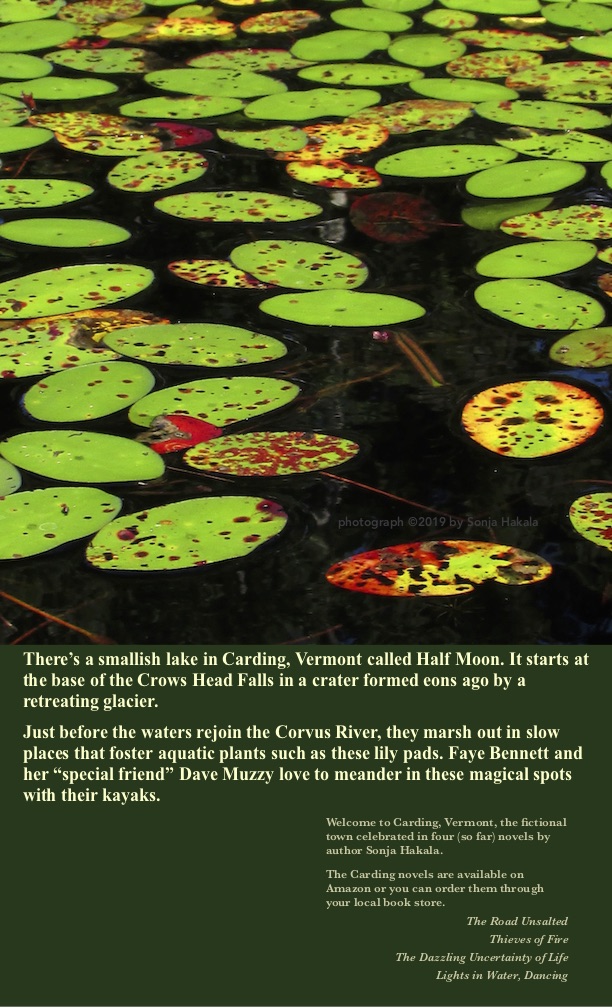 Paddling Through Pads | Sonja Hakala