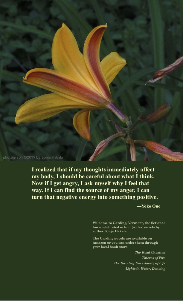 finding the source | Sonja Hakala