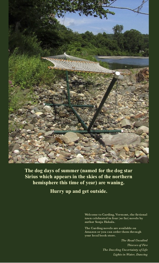 Getting Sirius | Sonja Hakala