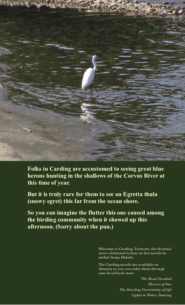 A Rare Sighting | Sonja Hakala