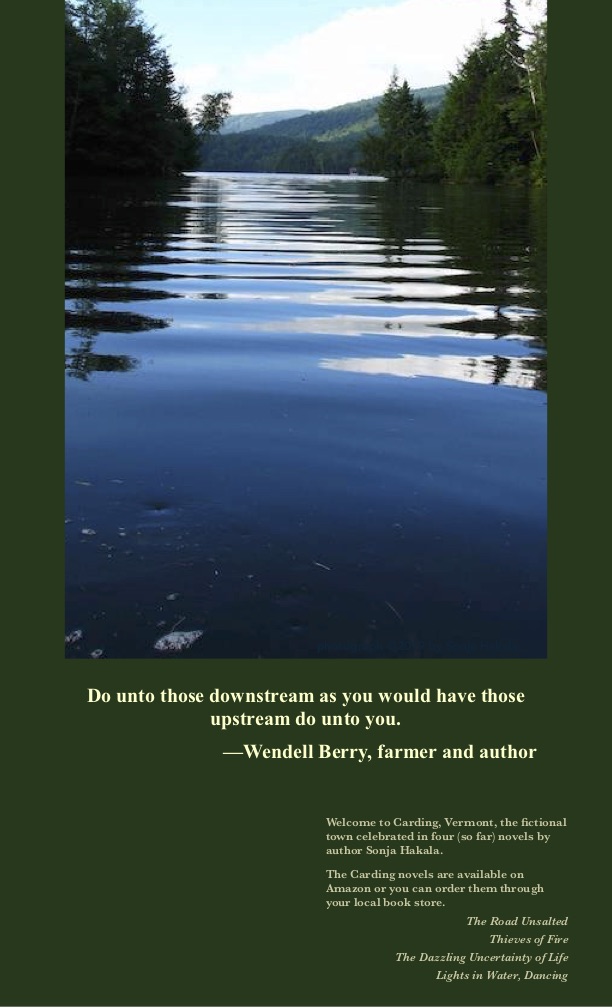 Upstream Downstream | Sonja Hakala