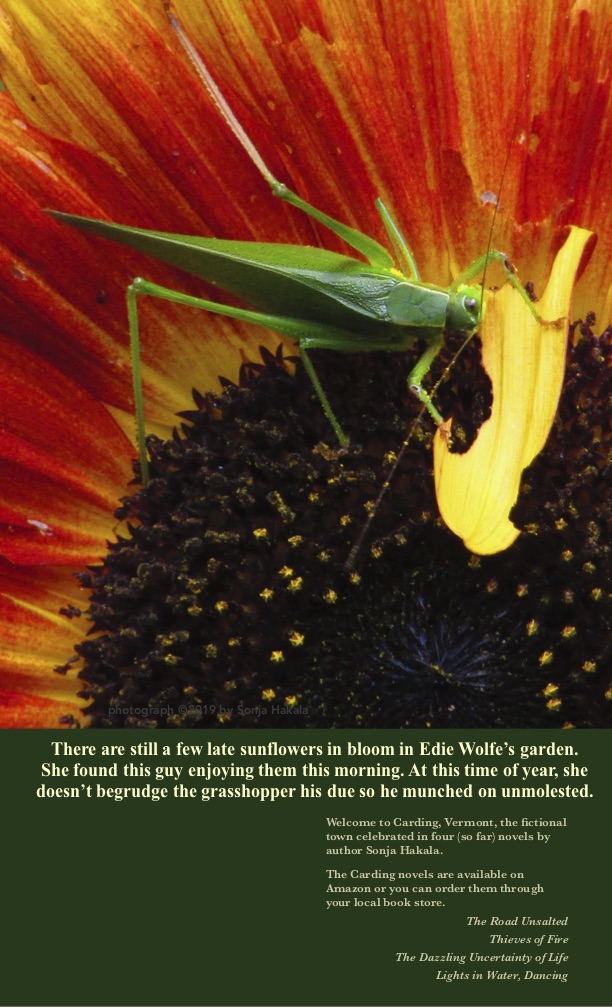 Little Grasshopper | Sonja Hakala