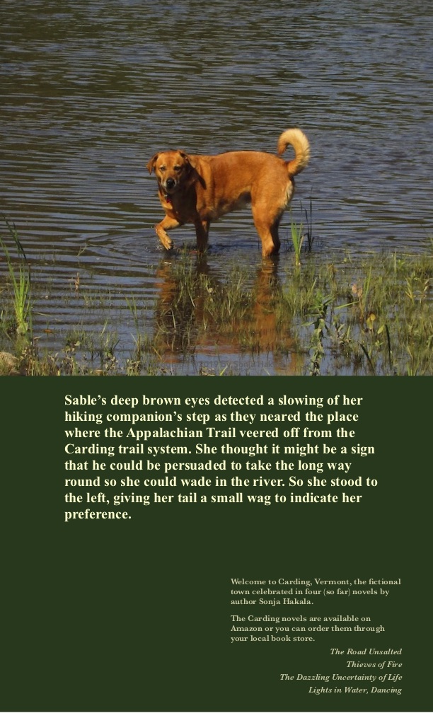 A Really Long Walk | Sonja Hakala