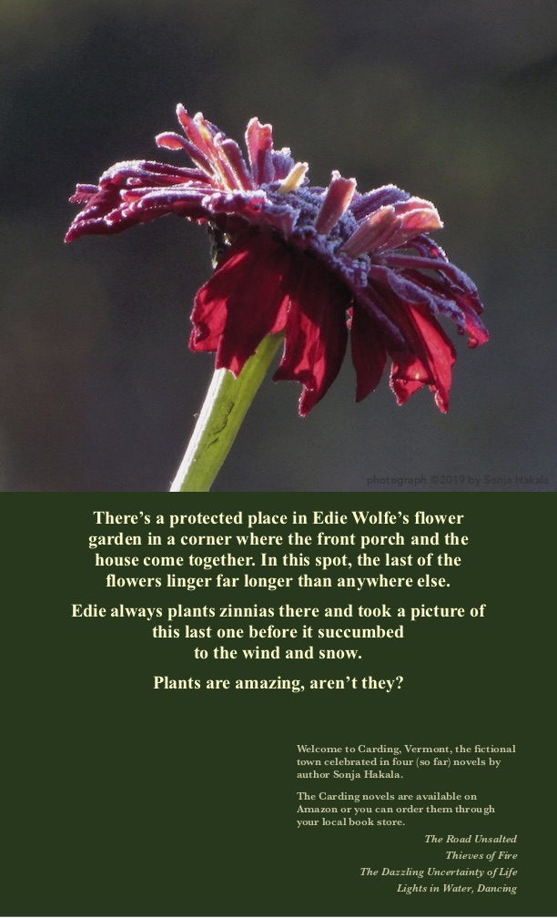 A Last Good-bye Until Spring | Sonja Hakala