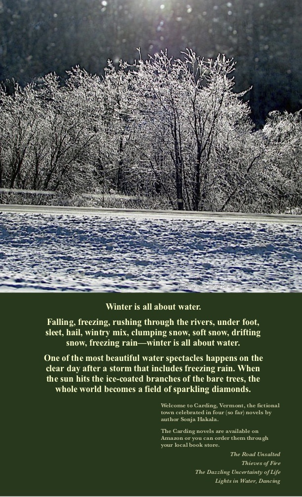 A Forest of Diamonds | Sonja Hakala