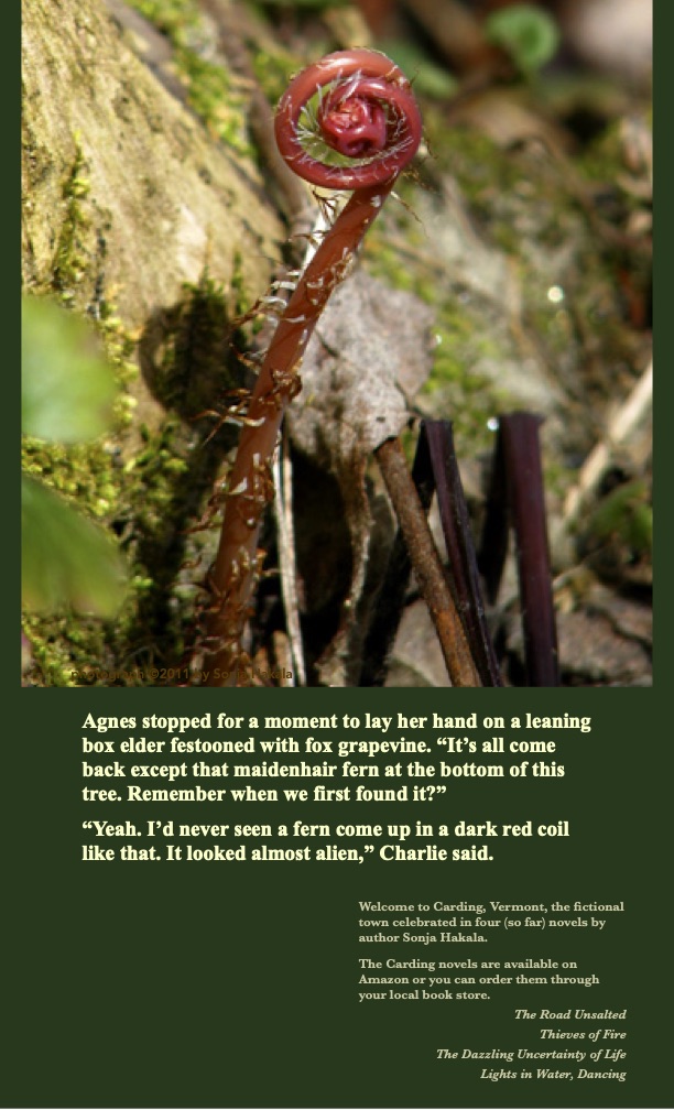 the slow and steady pace of renewal: a carding chronicle | Sonja Hakala