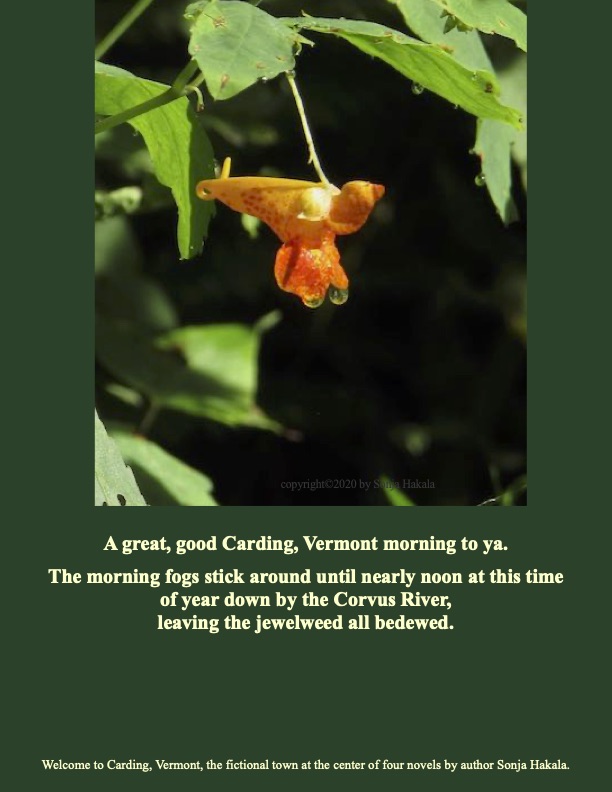 Bedewed | Sonja Hakala