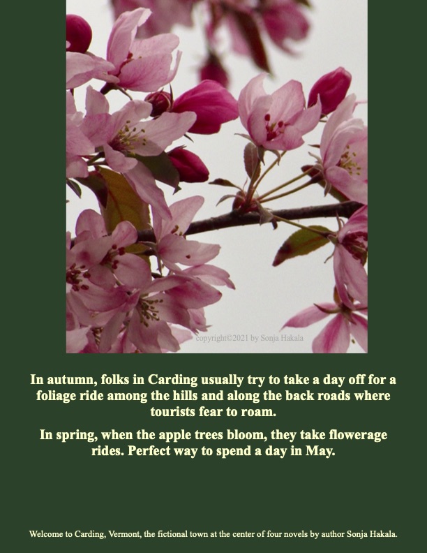 Flowerage | Sonja Hakala