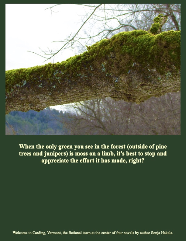 Out on a Limb | Sonja Hakala