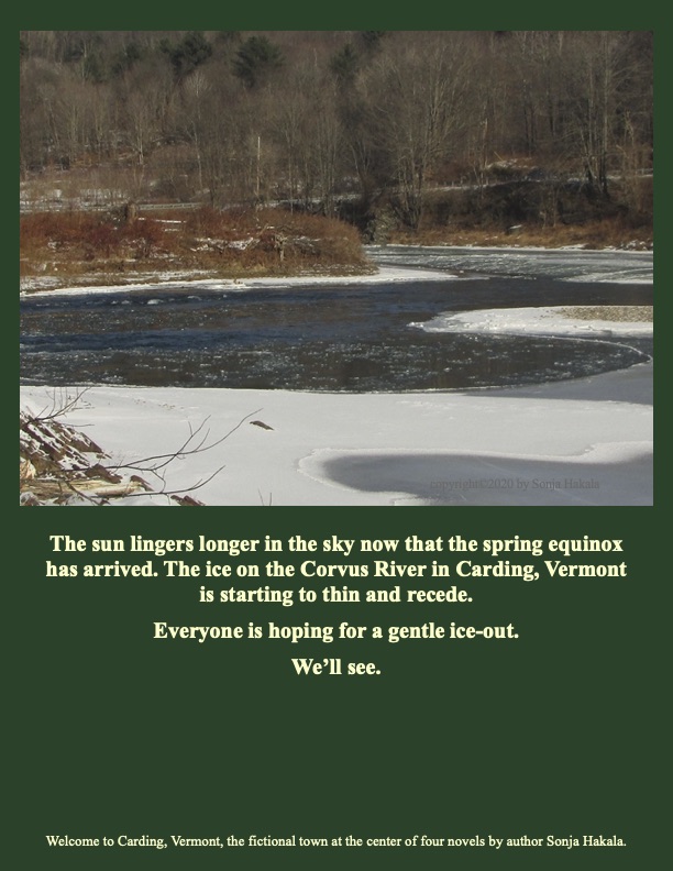 A Long, Slow Melt | Sonja Hakala