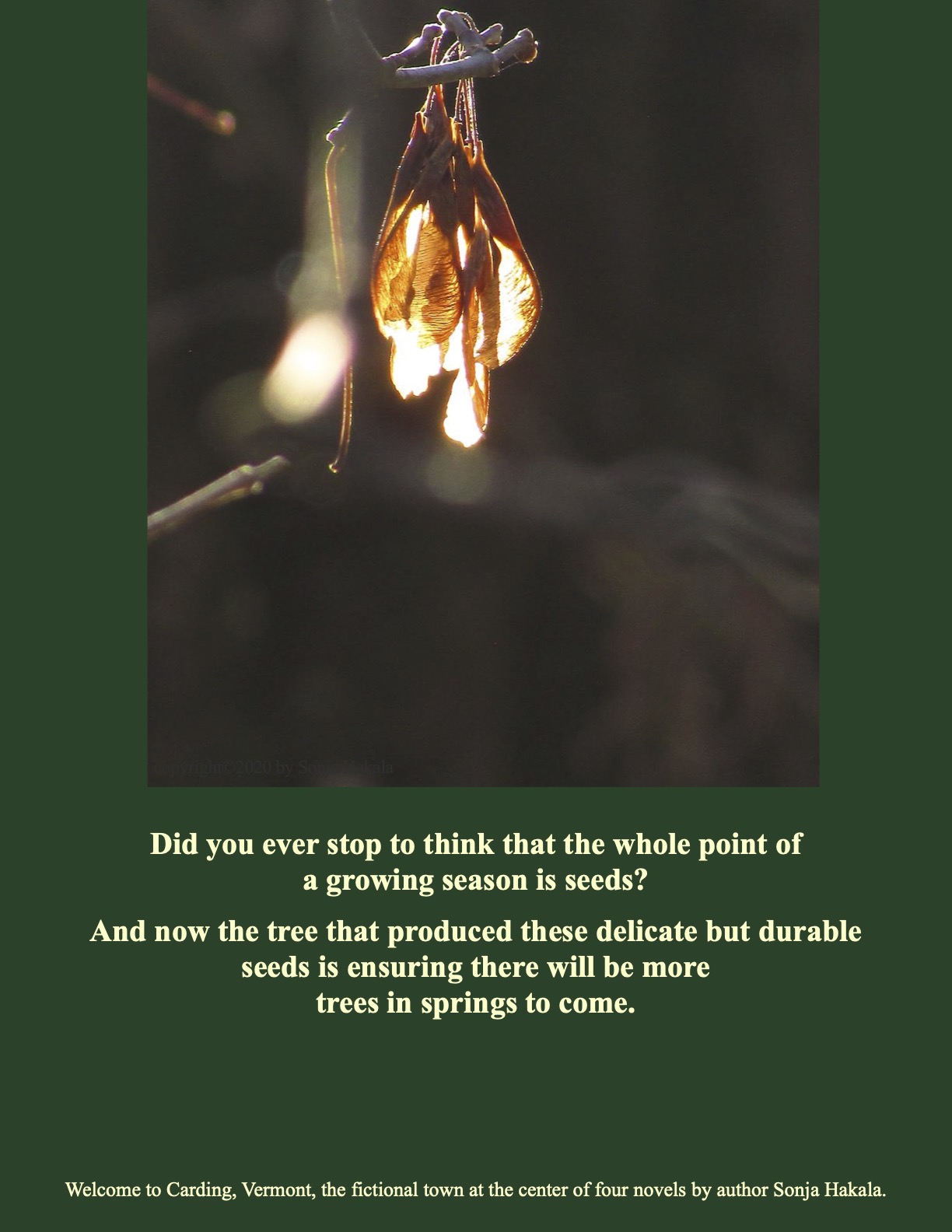 And the next spring…and the next | Sonja Hakala