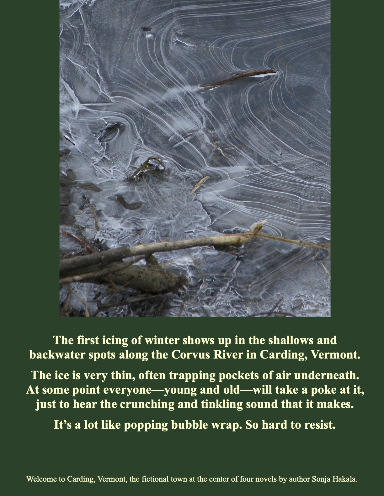 Irresistible | Sonja Hakala