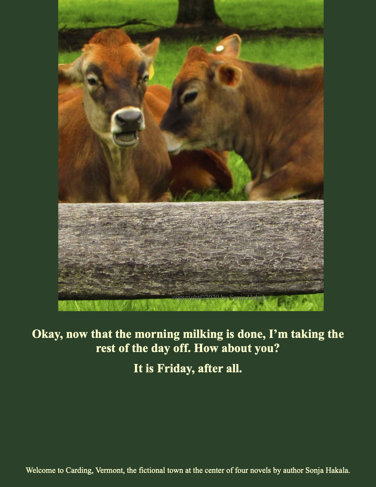 Morning Milking | Sonja Hakala