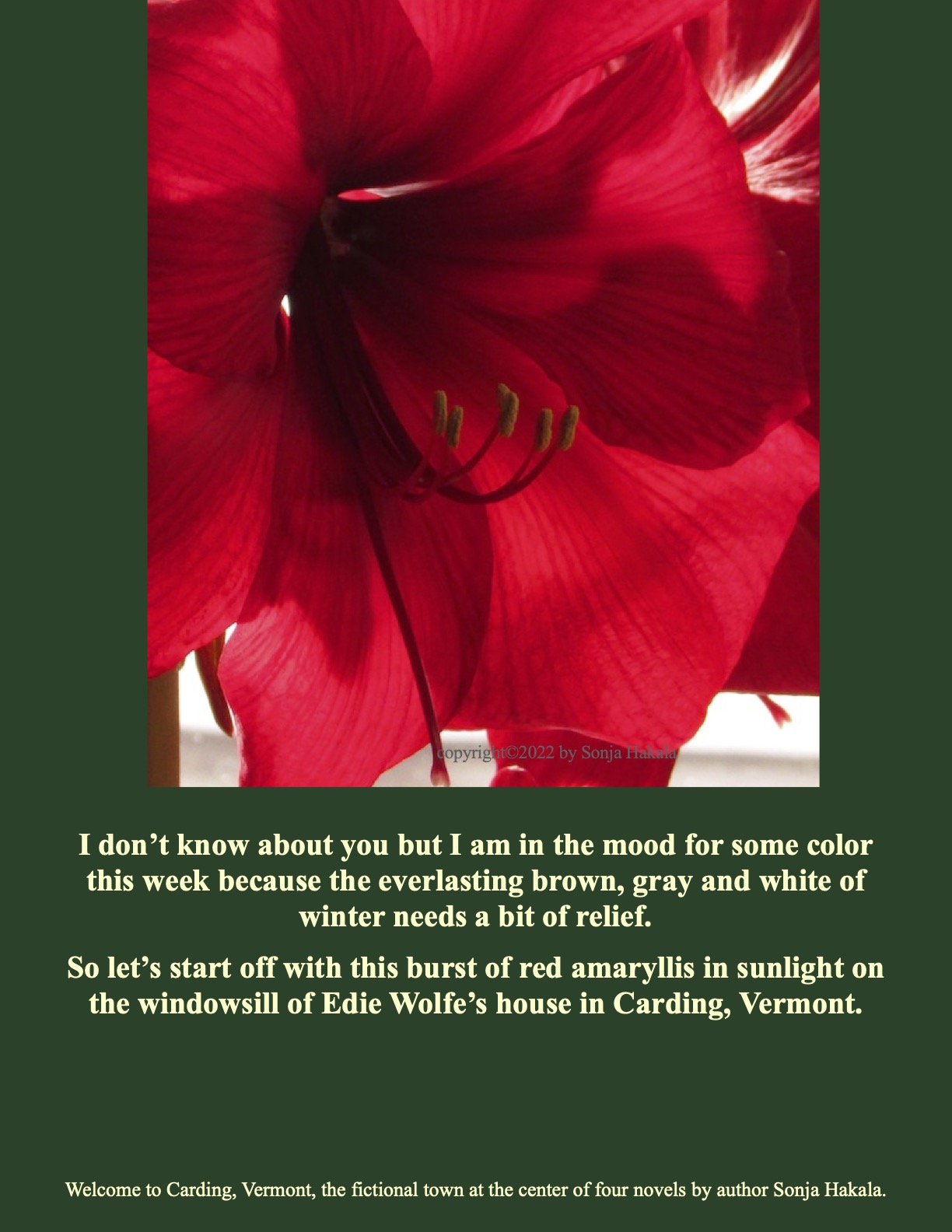 Scarlet!! | Sonja Hakala