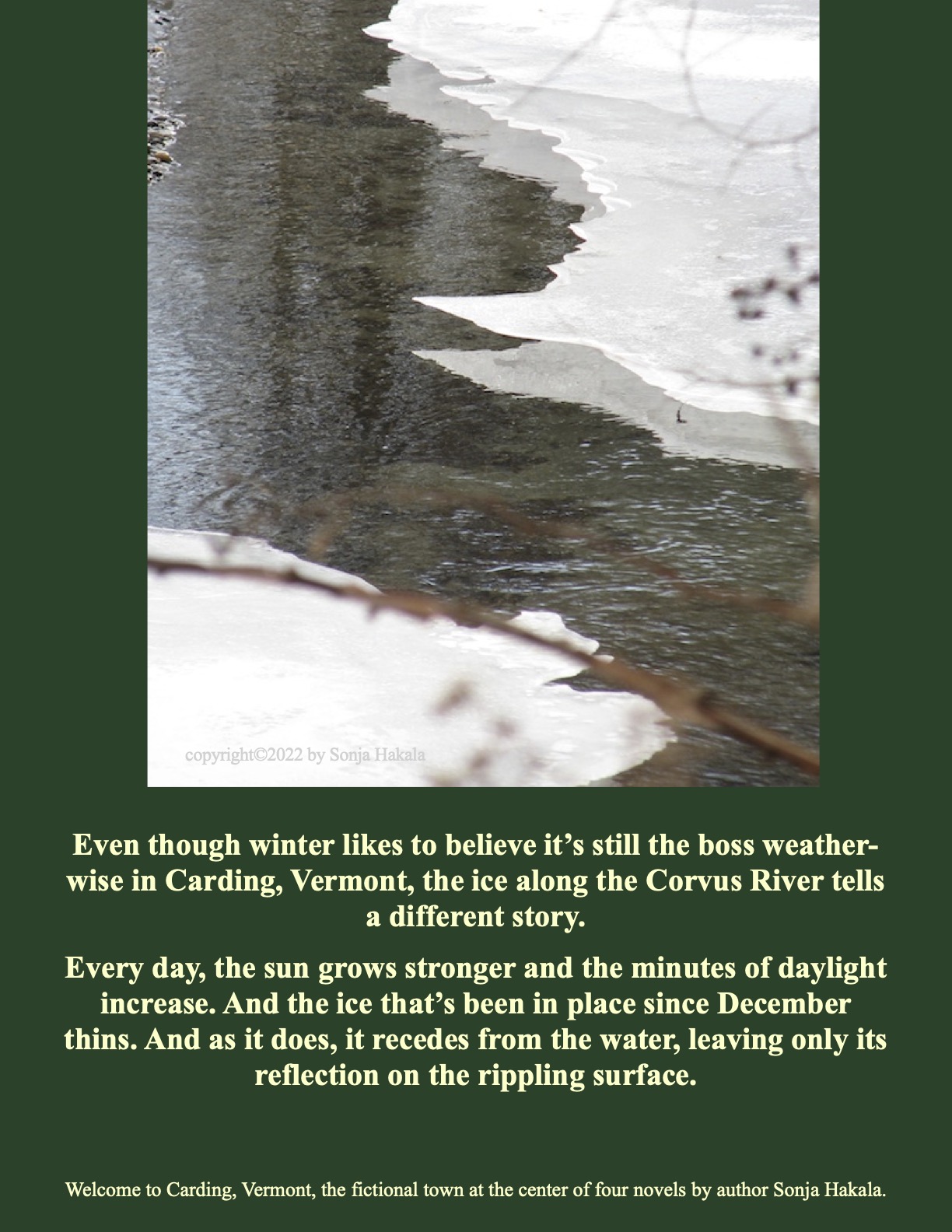 On Reflection | Sonja Hakala