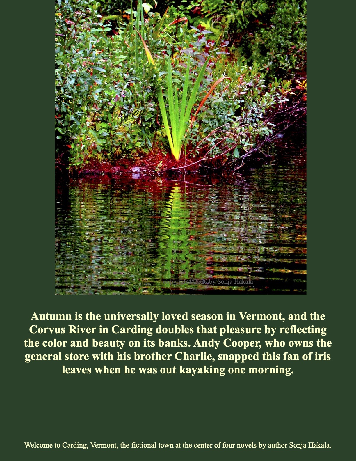 Mirror, Mirror | Sonja Hakala