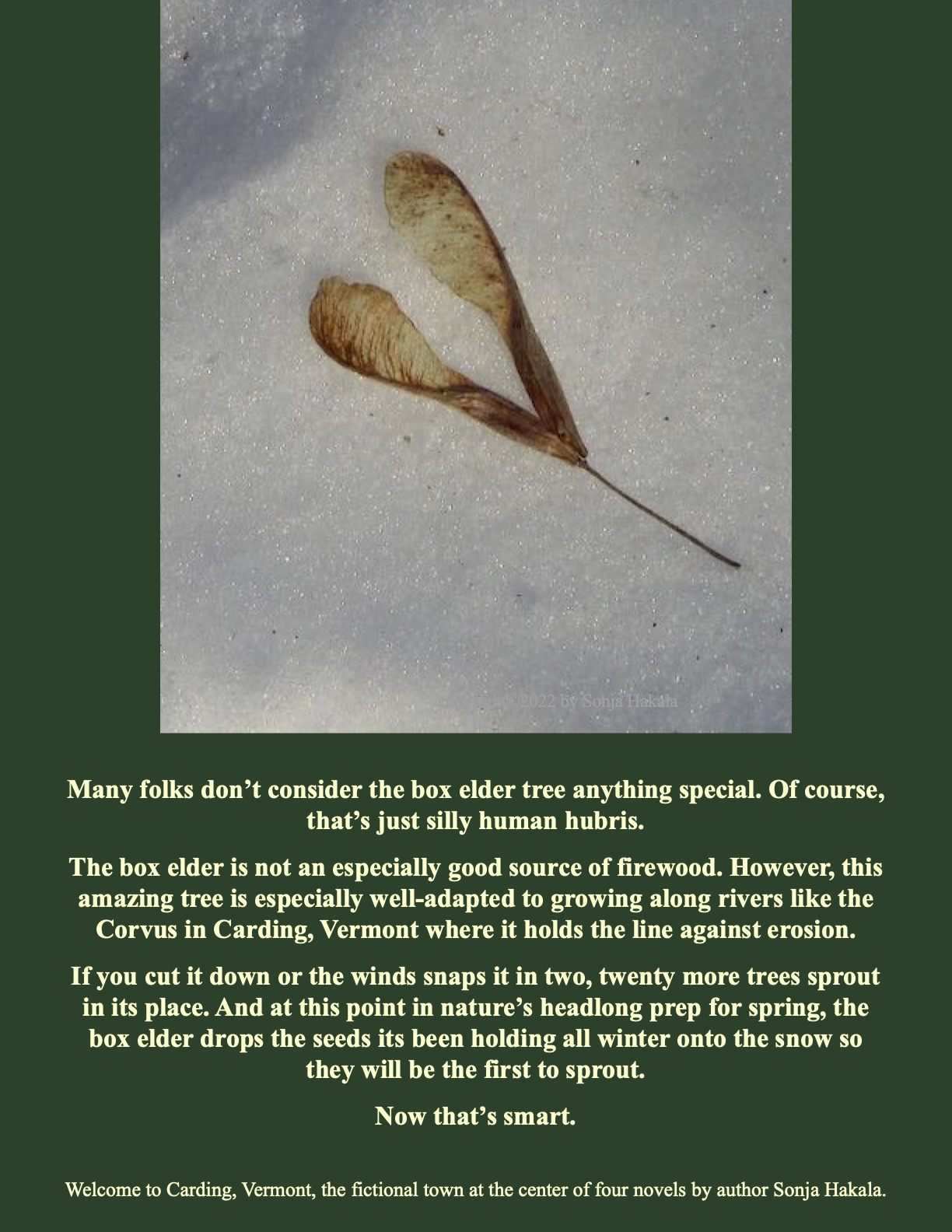 Ready to Go | Sonja Hakala