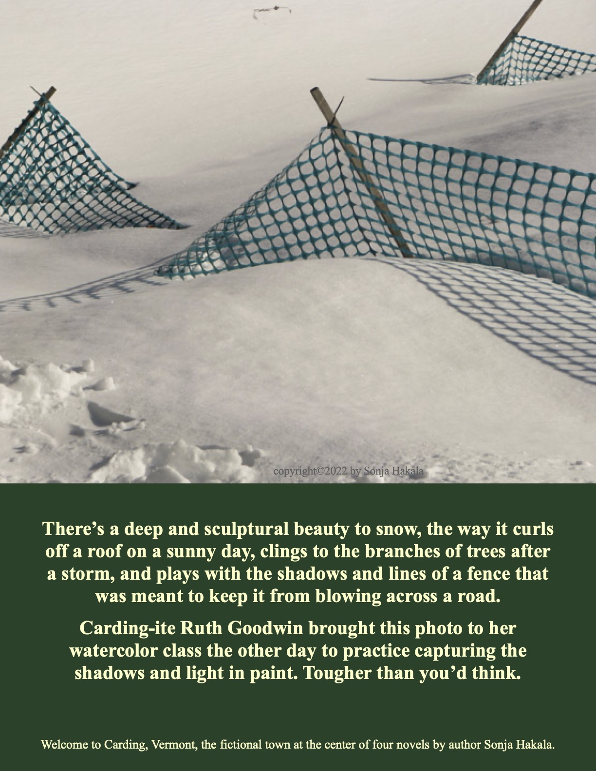 Shadows and Light | Sonja Hakala