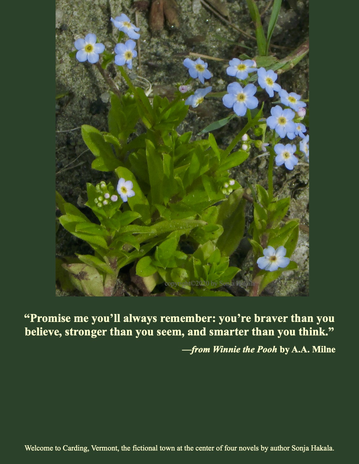 Please Remember… | Sonja Hakala