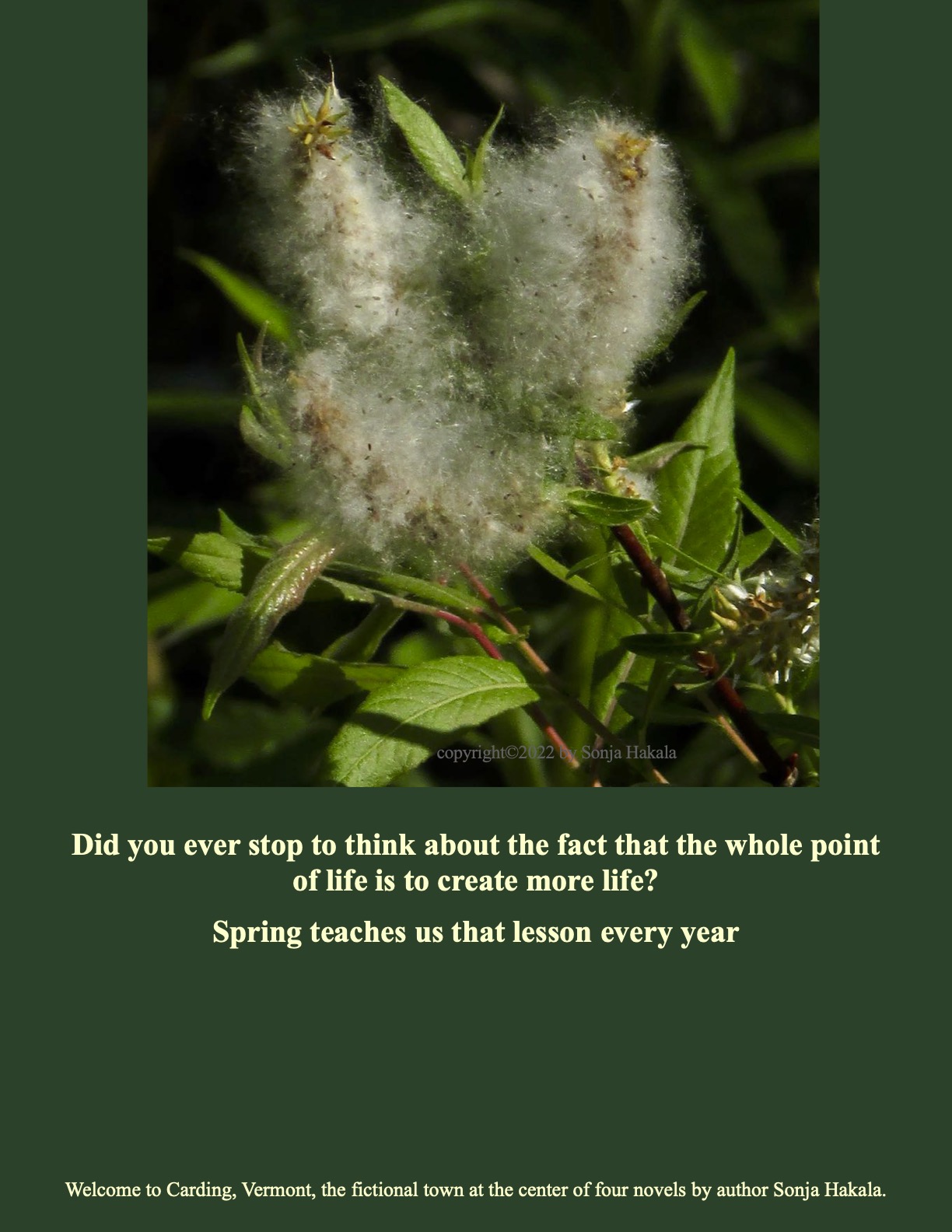 Willow Lessons | Sonja Hakala