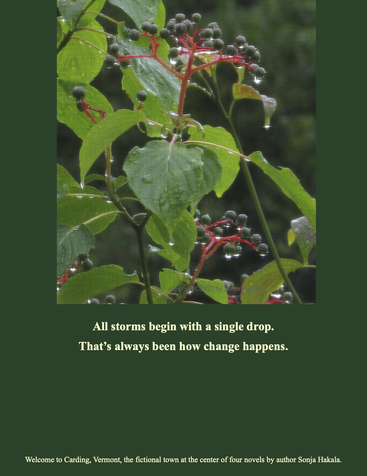 A Single Drop | Sonja Hakala