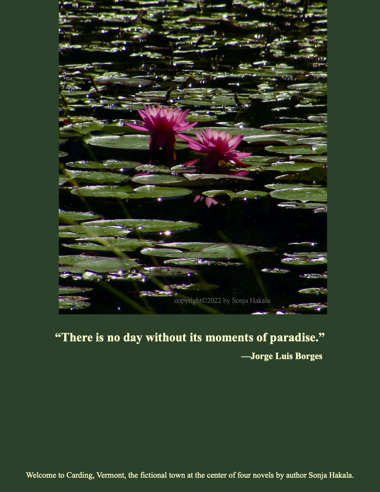 Paradise | Sonja Hakala