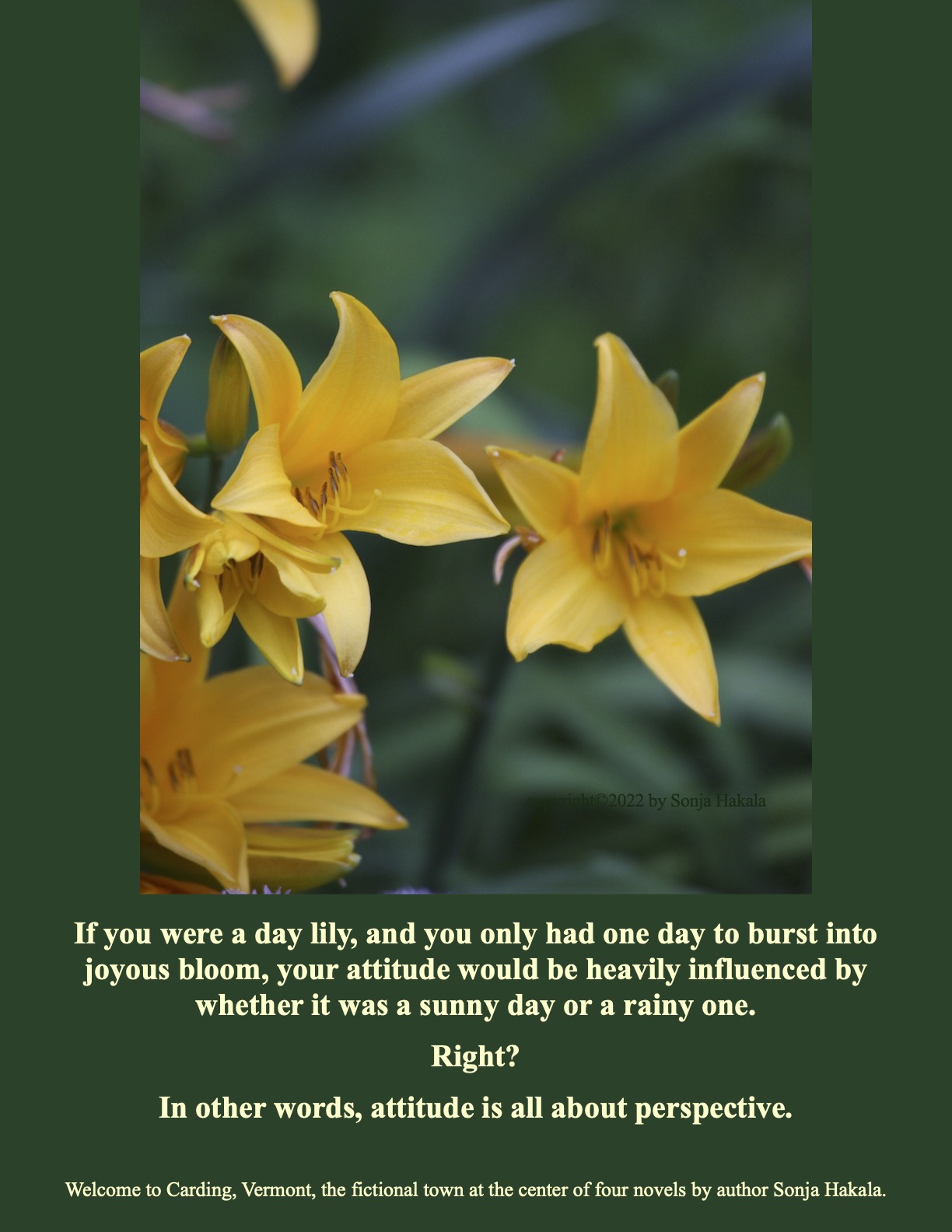 Perspective | Sonja Hakala