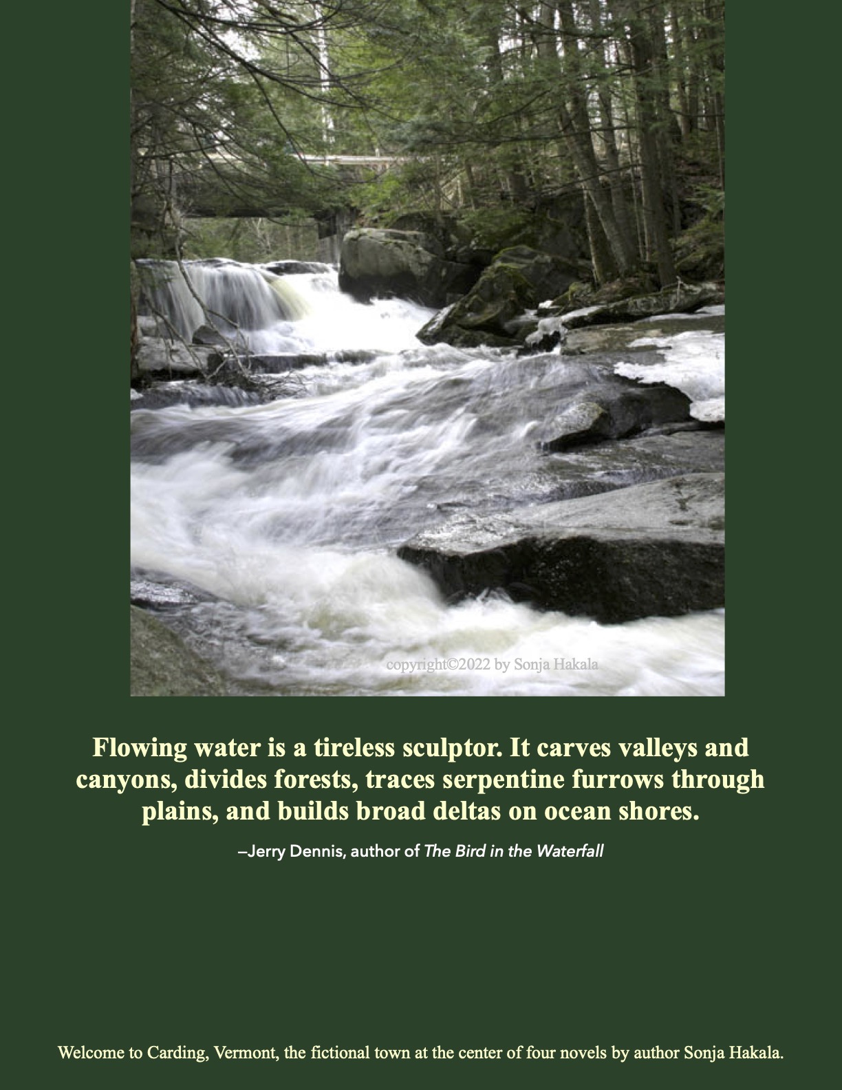 Master Sculptor | Sonja Hakala