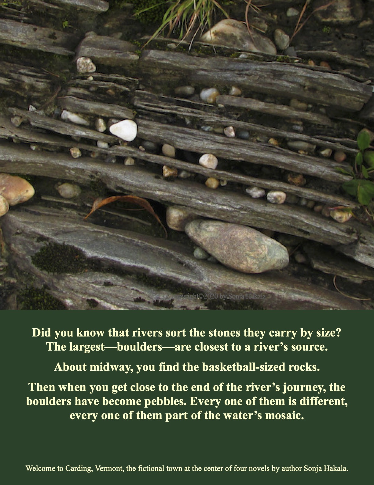 The River’s Mosaic | Sonja Hakala