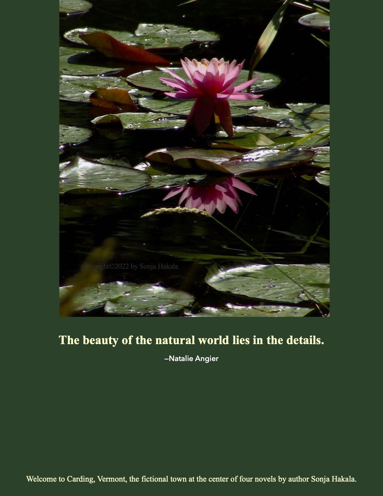 Reflections | Sonja Hakala