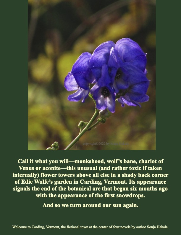 The Cycle Begins Again | Sonja Hakala