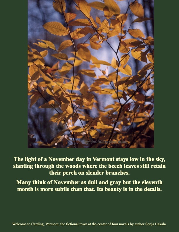 The Beauty of Detail | Sonja Hakala