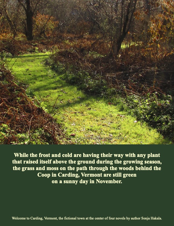 Still Green | Sonja Hakala